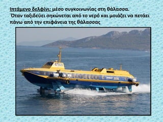 Οι ακροβάτες της θάλασσας | PPT
