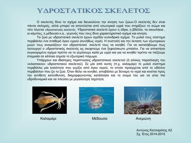 ΒΙΟΛΟΓΙΑ | PPT