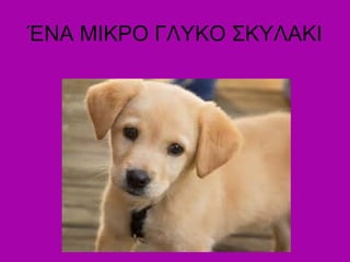 γατακια και σκυλακια | PPT