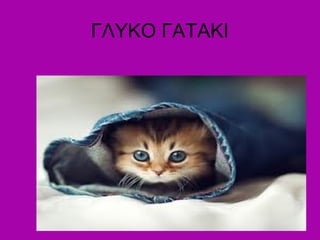 γατακια και σκυλακια | PPT