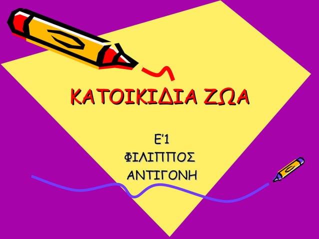 κατοικιδια ζωα | PPT