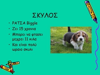 κατοικιδια ζωα | PPT