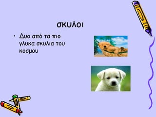 κατοικιδια ζωα | PPT
