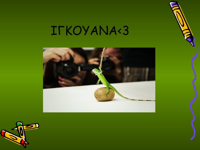 τα κατοικίδια ζώα | PPT