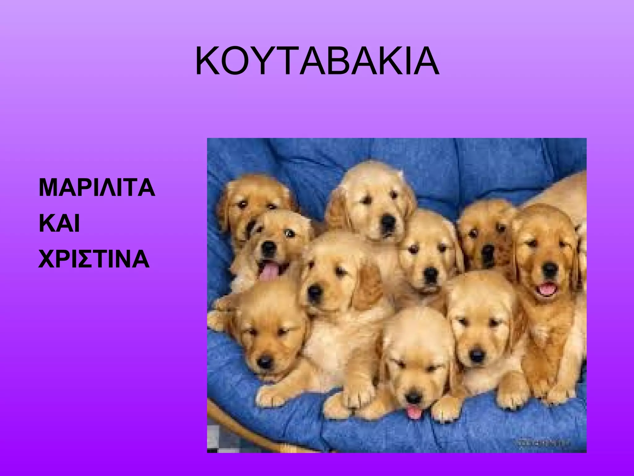 κουταβακια | PPT