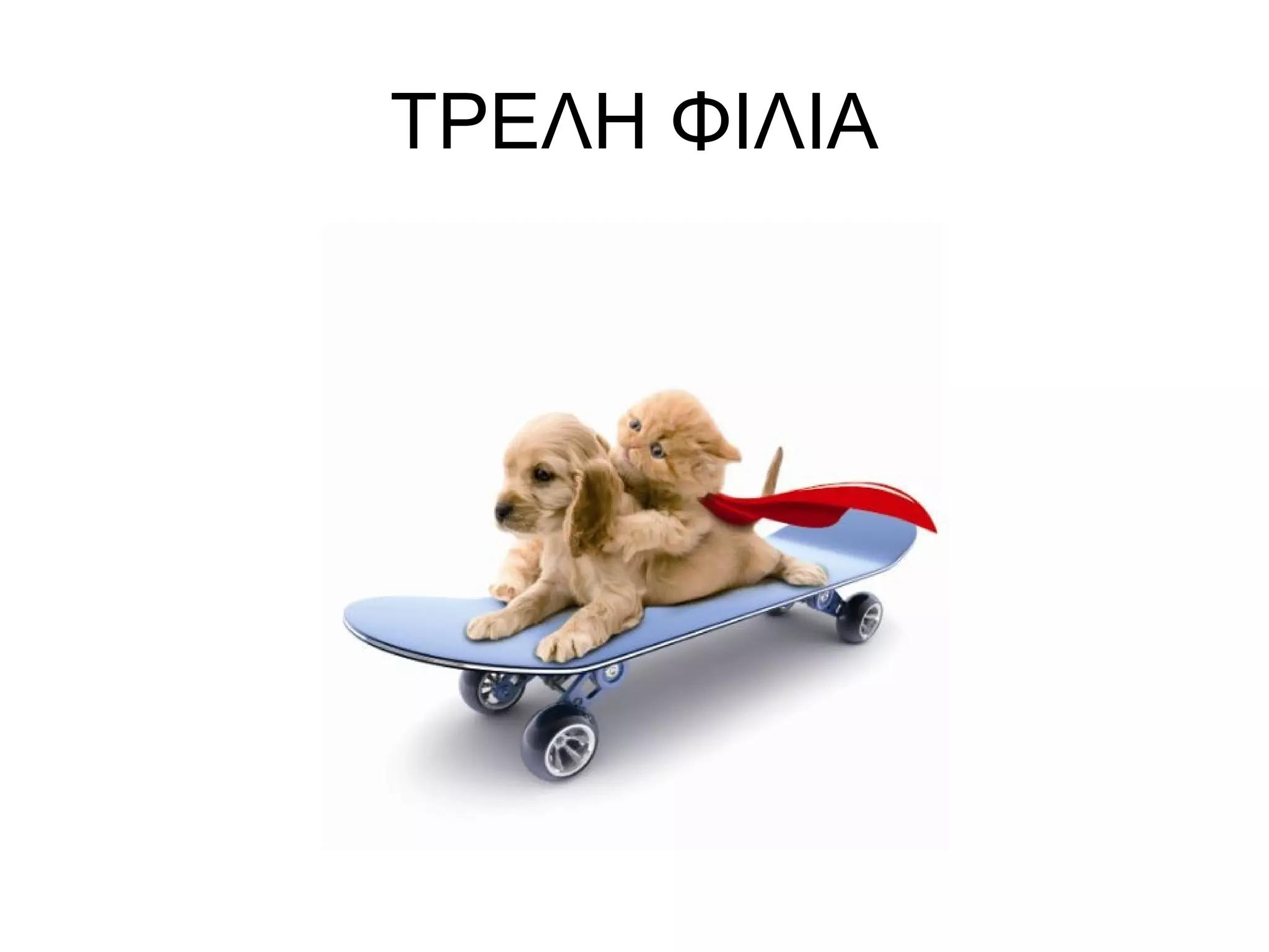 κουταβακια | PPT