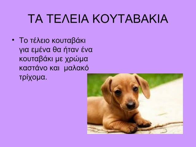 κουταβακια | PPT