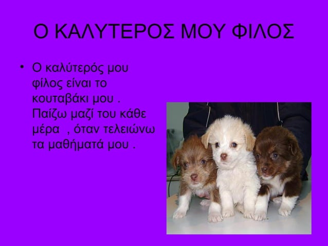 κουταβακια | PPT