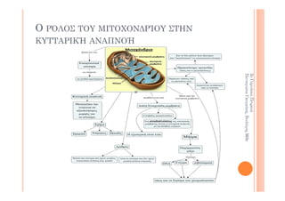 H αναπνοή στον άνθρωπο (Α γυμνασίου) | PDF