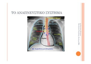 H αναπνοή στον άνθρωπο (Α γυμνασίου) | PPT