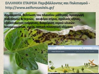 Δημιουργώντας εκπαιδευτικά δίκτυα | PPSX