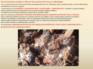 Κομποστοποιηση | PPSX