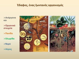 Κομποστοποιηση | PPSX