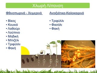 Παρουσίαση γονιμότητα του εδάφους | PPT