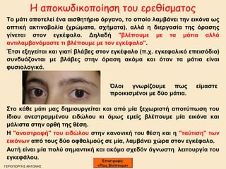 η αποκωδικοποίηση του ερεθίσματος | PPS