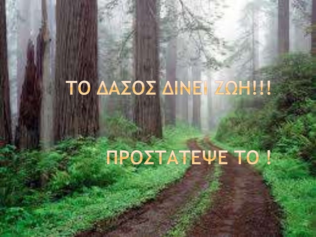 ΤΟ ΔΑΣΟΣ - ΤΟ ΠΕΡΙΑΣΤΙΚΟ ΠΡΑΣΙΝΟ | PPT