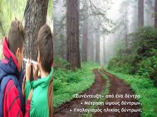 ΤΟ ΔΑΣΟΣ - ΤΟ ΠΕΡΙΑΣΤΙΚΟ ΠΡΑΣΙΝΟ | PPT