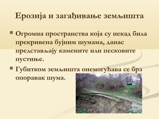 загађивање копнених екосистема | PPT