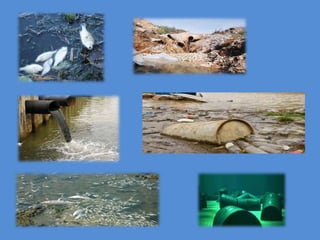 Ρυπανση υδατων | PPT