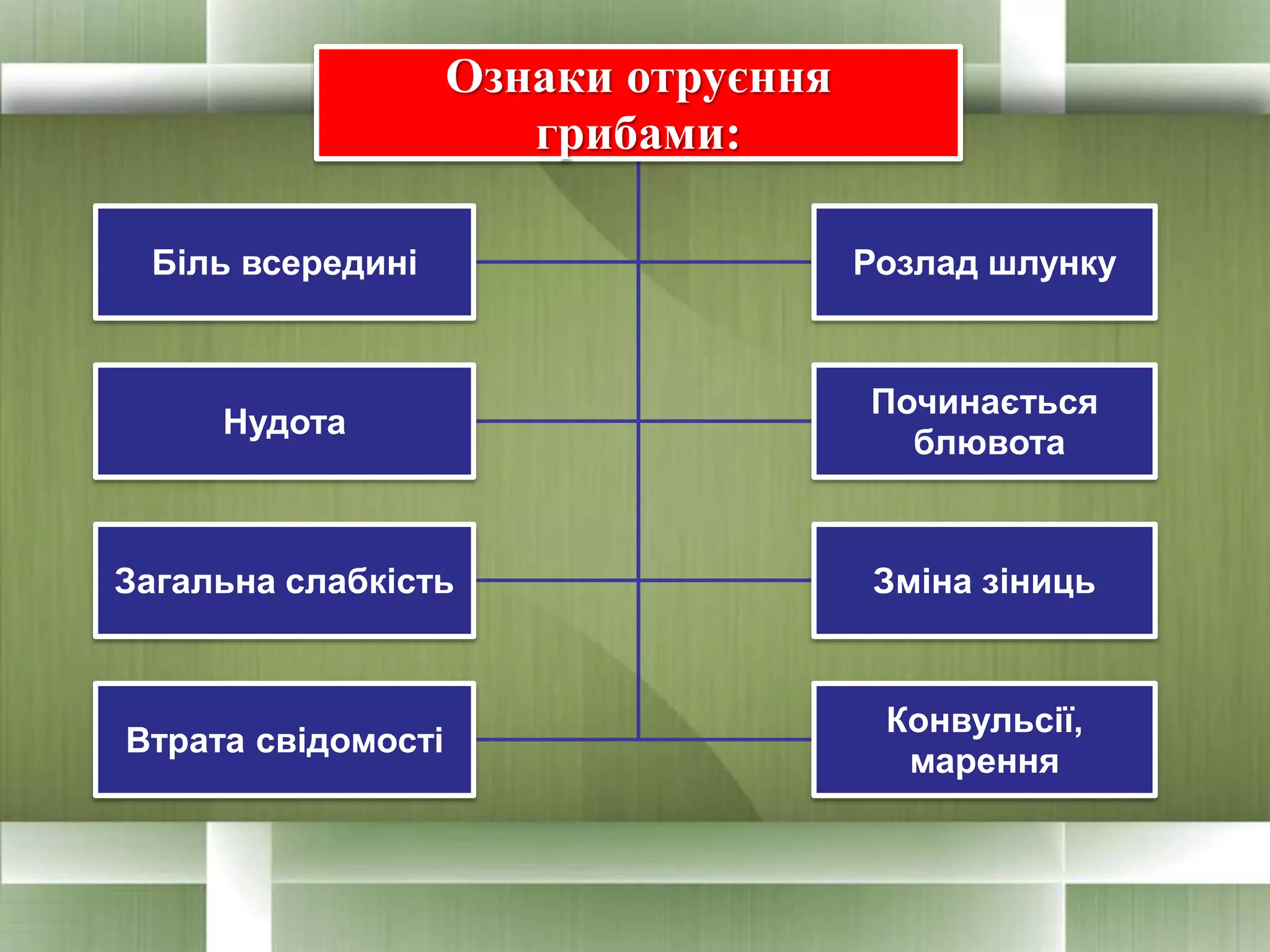 гриби Ppt