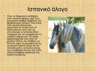 Το άλογο από την προϊστορία μέχρι σήμερα | PPT