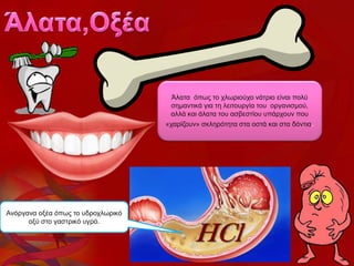 Η οργάνωση της ζωής (Γ' Γυμνασίου) | PPT