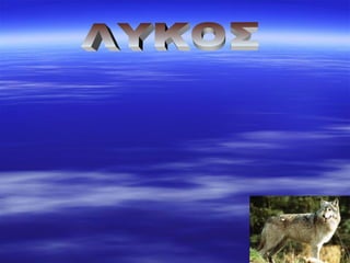 τα ζωα της ελλαδας | PPT