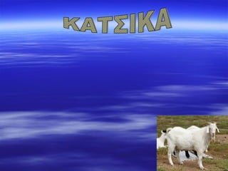 τα ζωα της ελλαδας | PPT