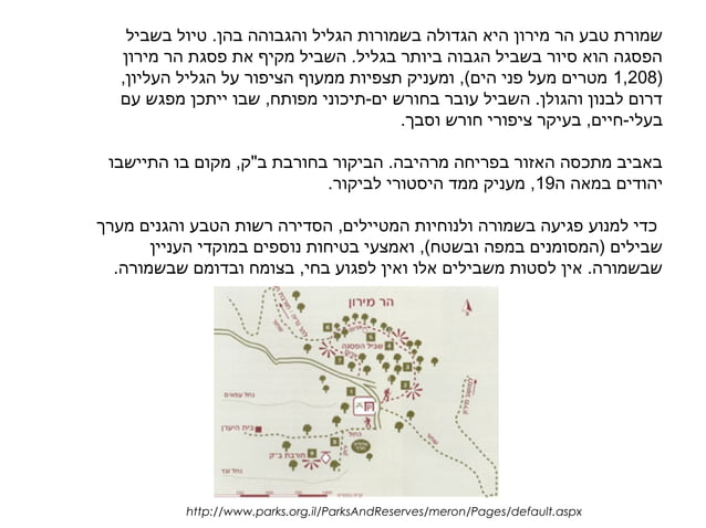 שמורת הטבע מירון Nature Reserve Mount Miron in Israel | PPS