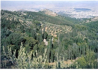 Καισαριανή | PPT