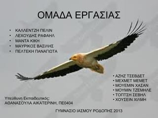 WWF παρουσιαση τελικη | PPT