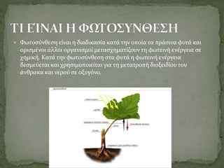 φωτοσυνθεση | PPTX