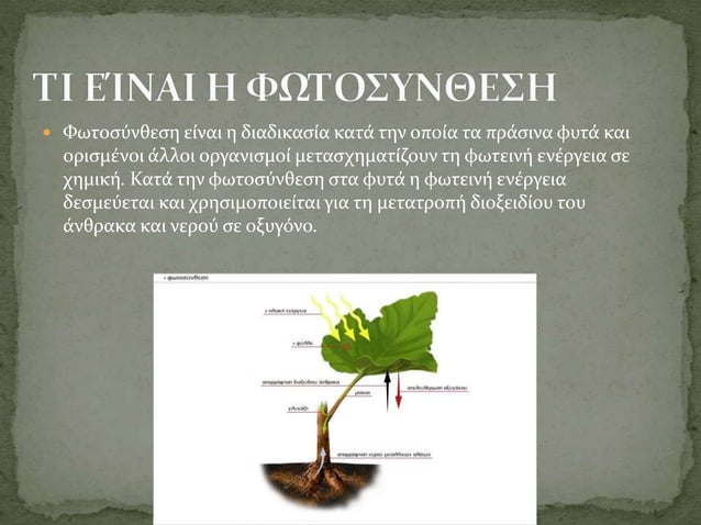 φωτοσυνθεση | PPTX