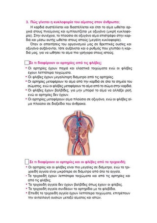 κυκλοφορικο συστημα ανθρωπου | DOCX