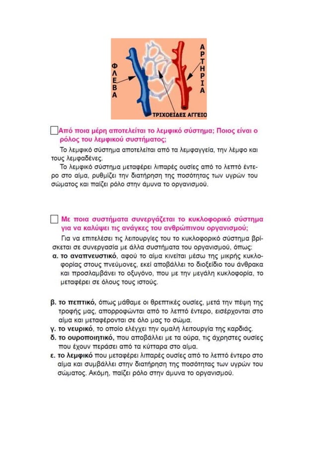 κυκλοφορικο συστημα ανθρωπου | DOCX