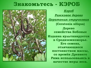 кэроб | PPT