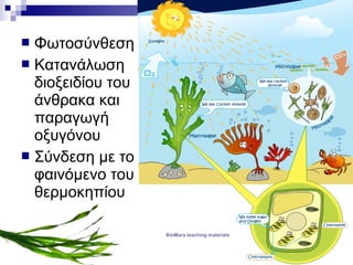 Project Φύκη : Ιδέες για εφαρμογή προγράμματος σχολικών δραστηριοτήτων ...