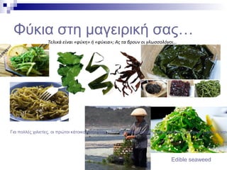 Project Φύκη : Ιδέες για εφαρμογή προγράμματος σχολικών δραστηριοτήτων ...