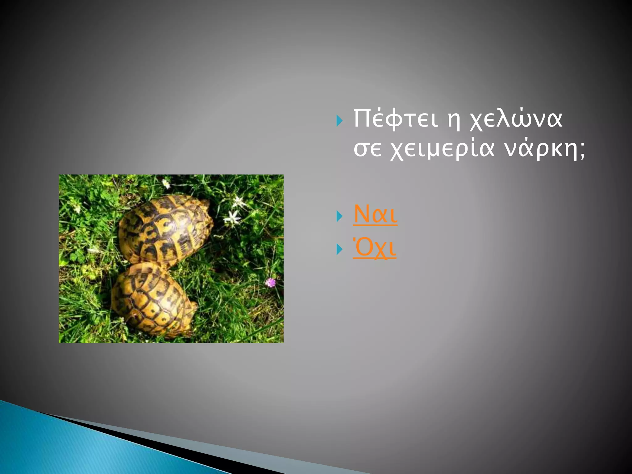 σωστο λαθος | PPT