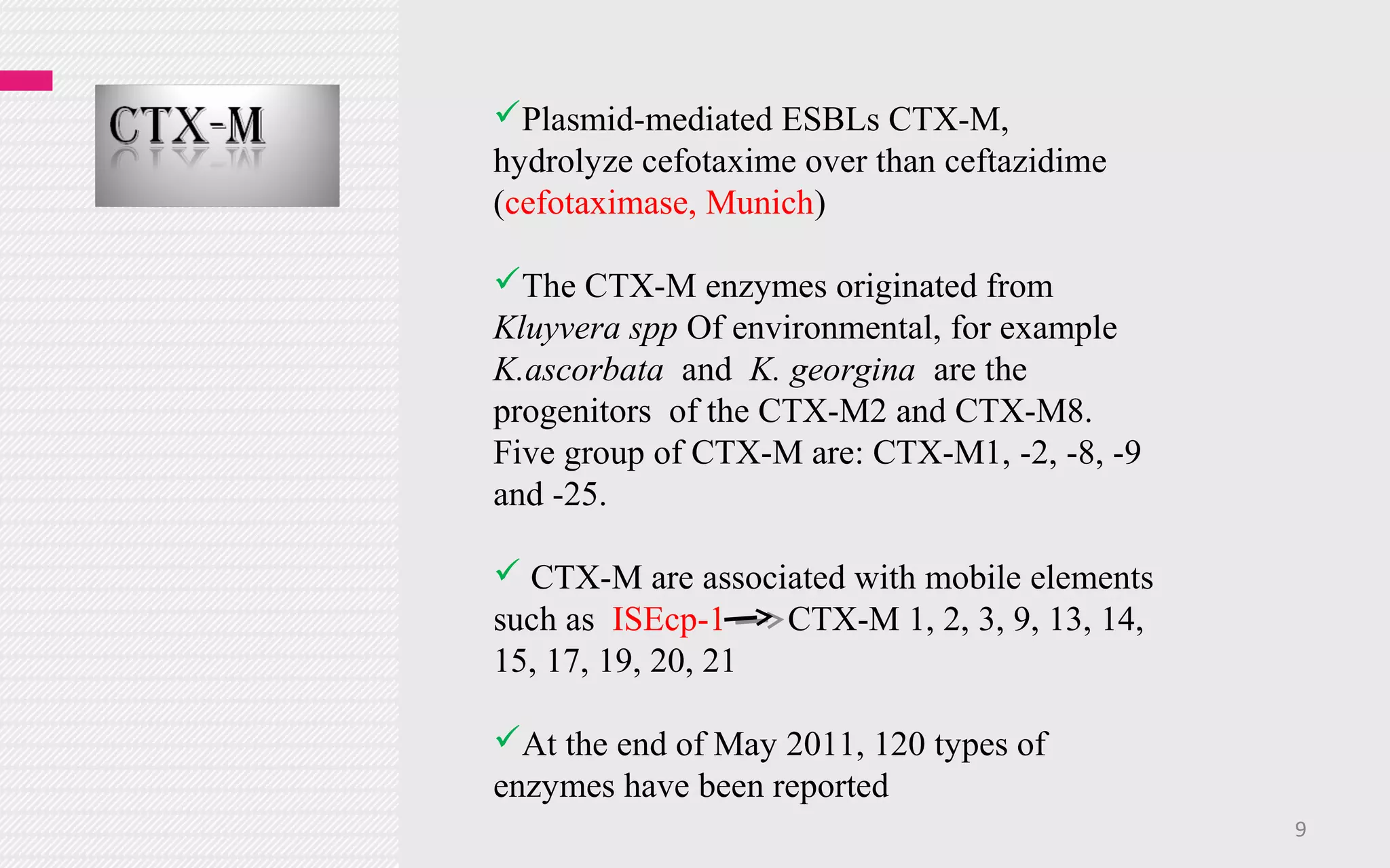 esbl | PPT