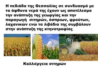 παραγωγή βασικών καλλιεργειών στην ελλάδα | PPT