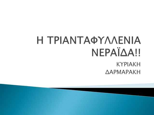 το τριανταφυλλο | PPSX