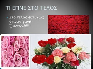 το τριανταφυλλο | PPSX
