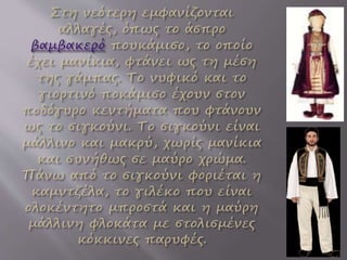 Παραδοσιακες φορεσιες Σουλιου | PPTX