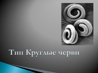 круглые черви | PPT