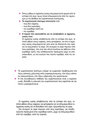 ουροποιητικο συστημα | DOCX