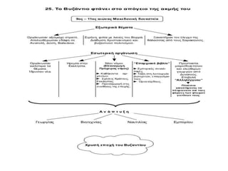 κοινωνια και οικονομια | PPTX