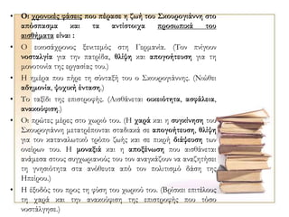 Η τελευταία αρκούδα του Πίνδου | PPTX