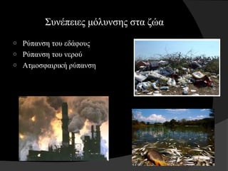 κακοποιηση ζωων | PPT