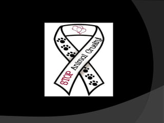 κακοποιηση ζωων | PPT